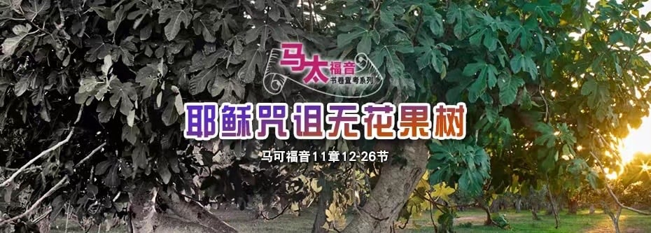 耶稣咒诅无花果树 – FYDT 福音电台